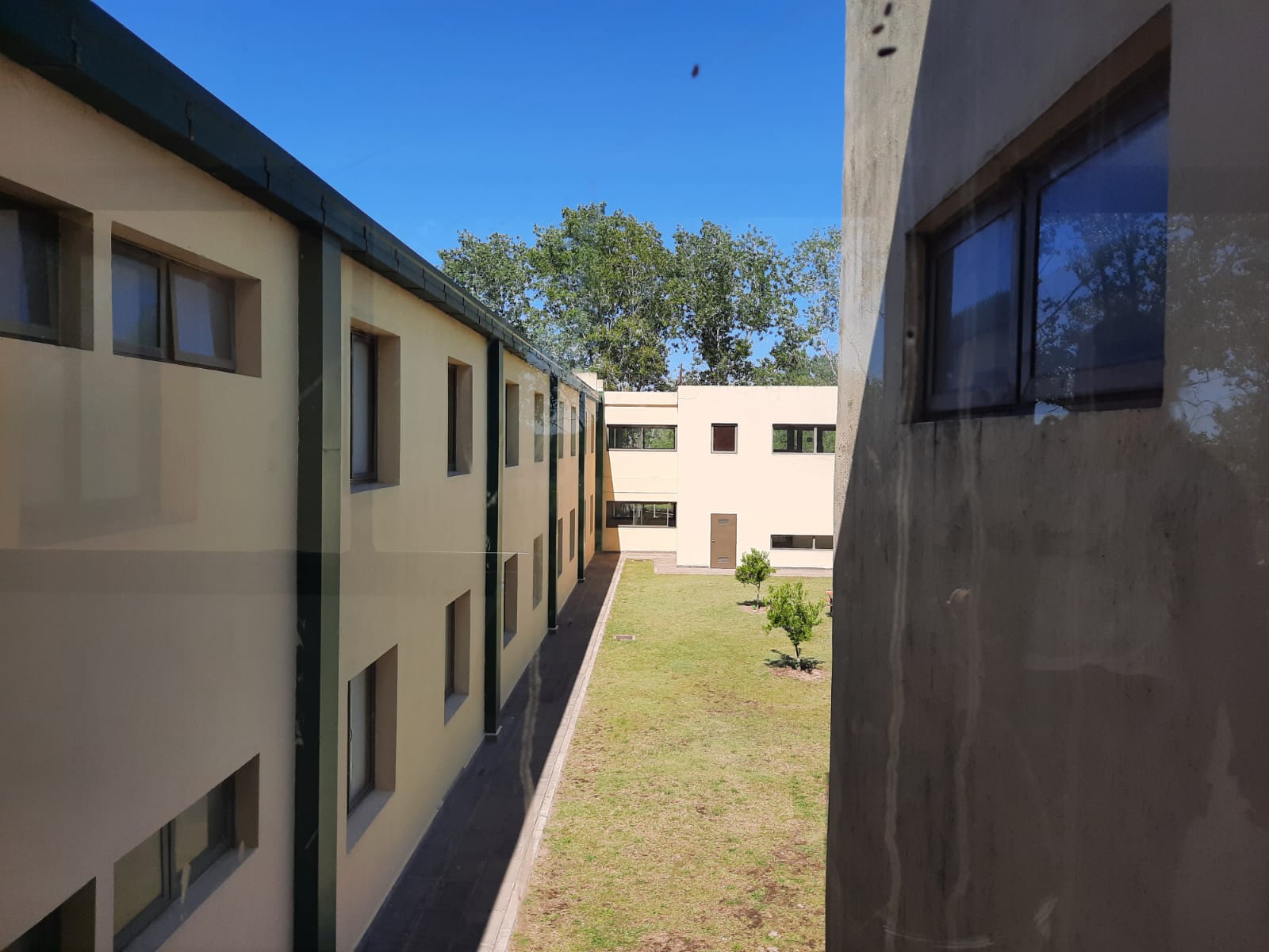 Explorando la USAL desde adentro: La mirada de los estudiantes de ...